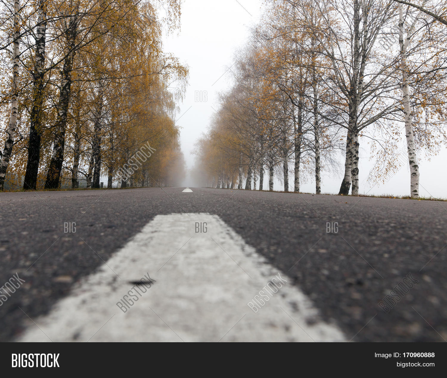 Old Asphalt Road Image & Photo (Free Trial) | Bigstock