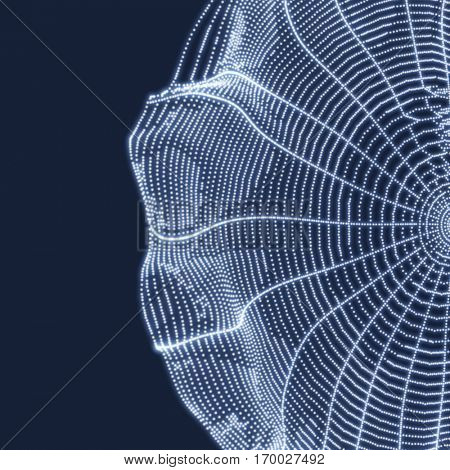 Cobweb. Network Vector & Photo (Free Trial) | Bigstock