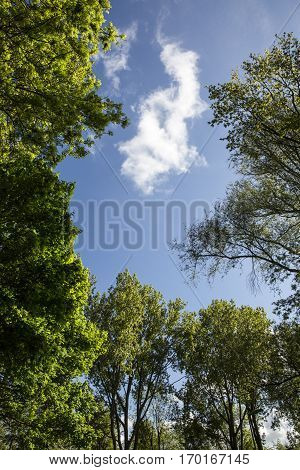 Dynamic Angle Top Image & Photo (Free Trial) | Bigstock
