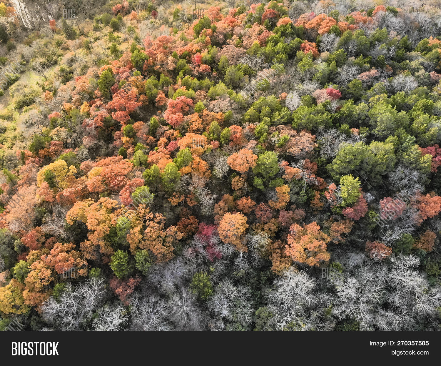 Top View Colorful Image & Photo (Free Trial) | Bigstock