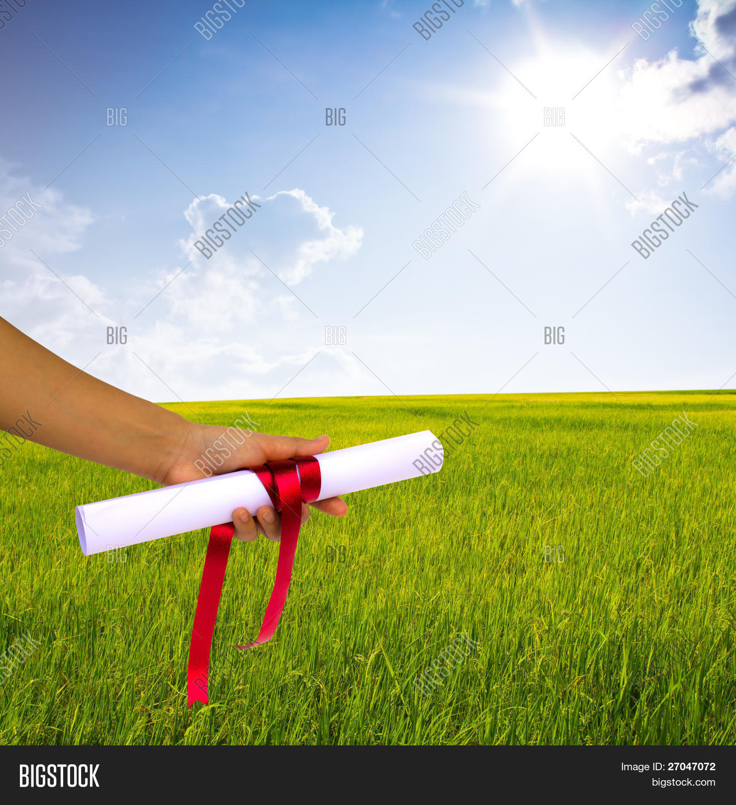 Hand Holding Diploma Image & Photo (Free Trial) | Bigstock