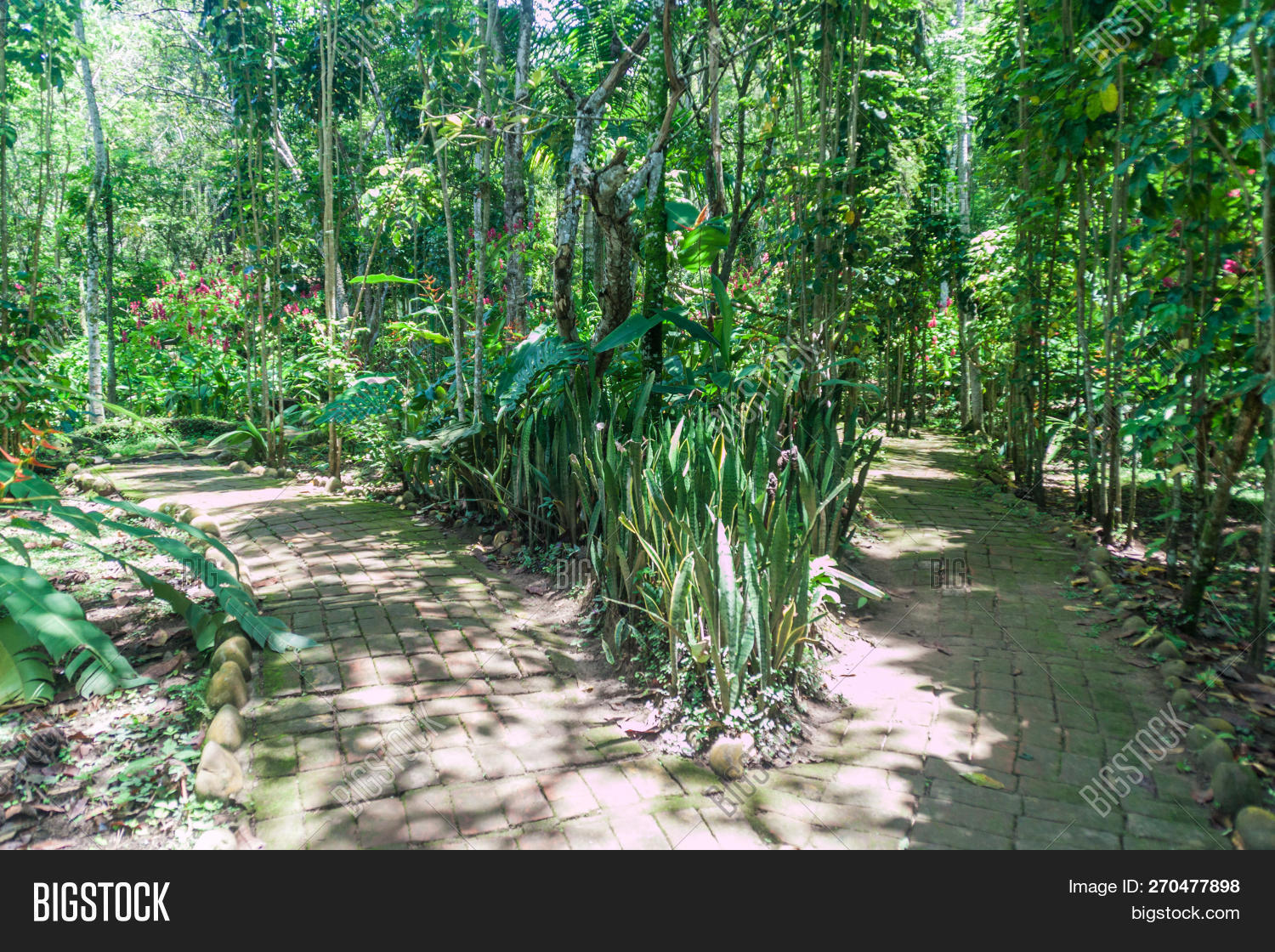 Paths El Gallineral Image & Photo (Free Trial) | Bigstock