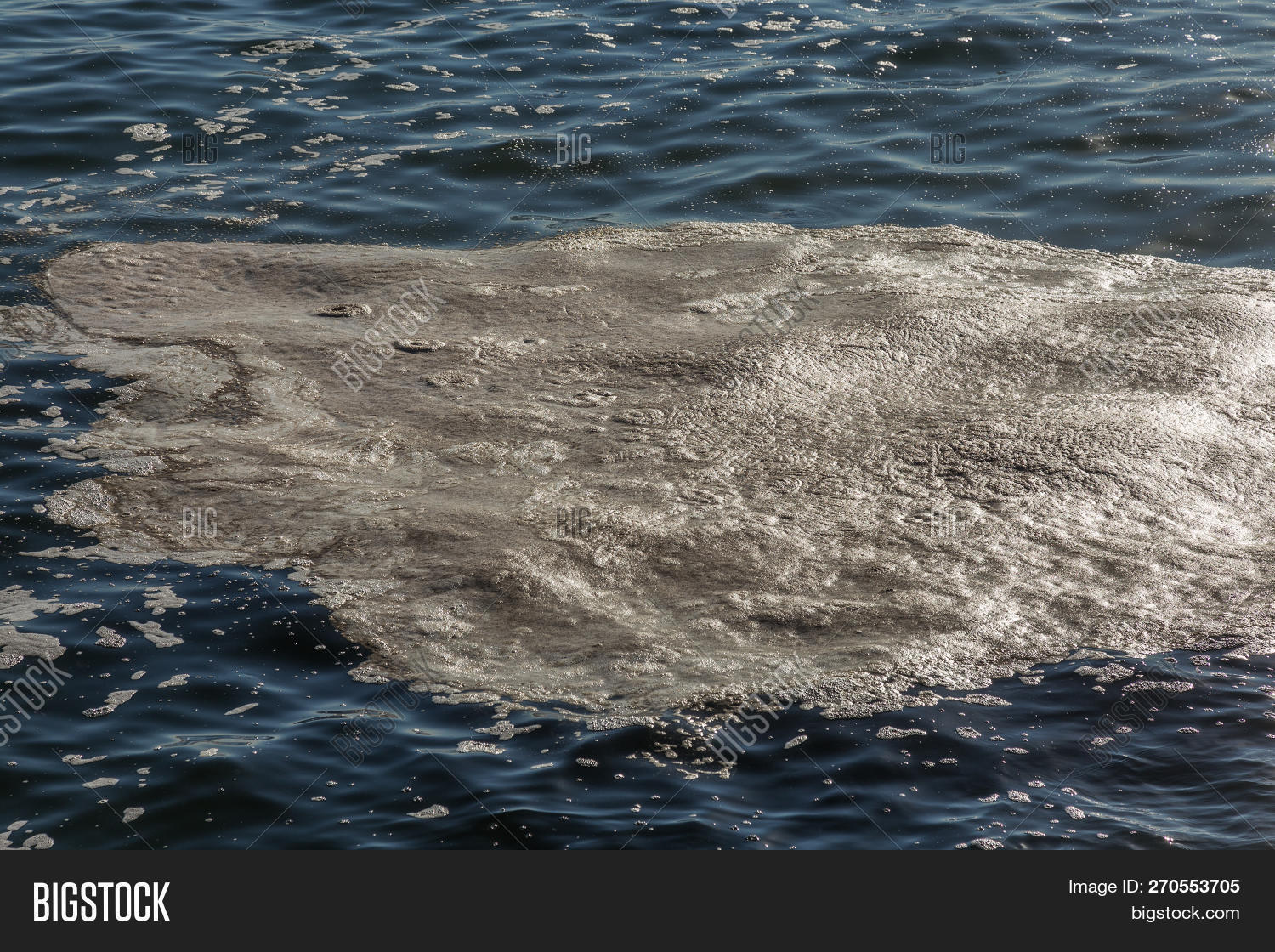 Dirty Sea Water. Dirt Image & Photo (Free Trial) | Bigstock