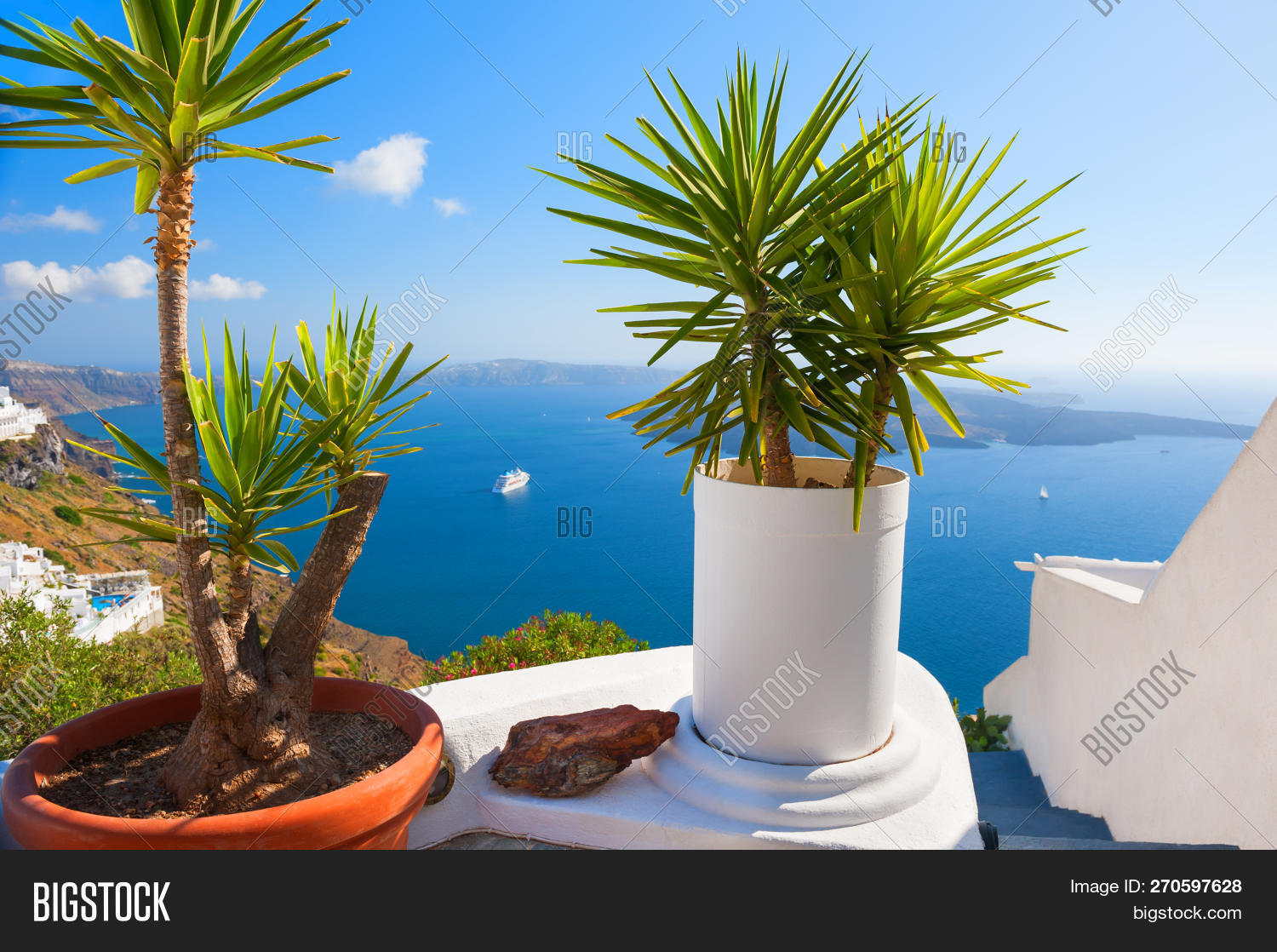 Decorative Palms Pots Image & Photo (Free Trial) | Bigstock