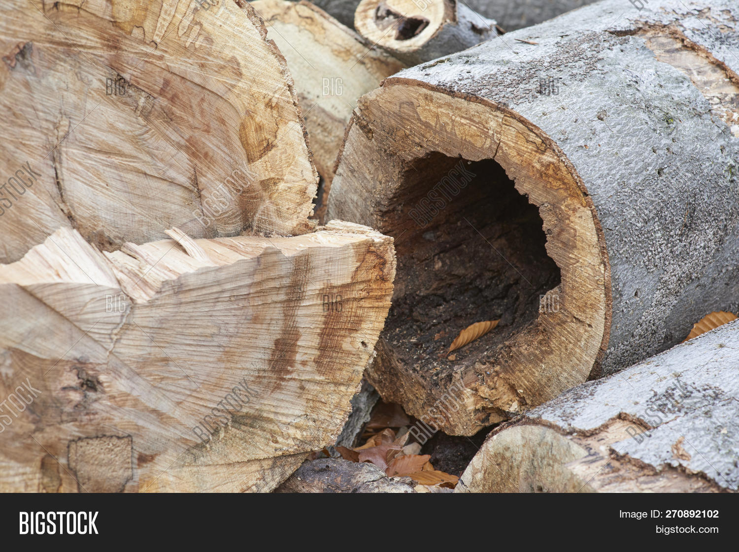 Lumber & Logs After Image & Photo (Free Trial) | Bigstock