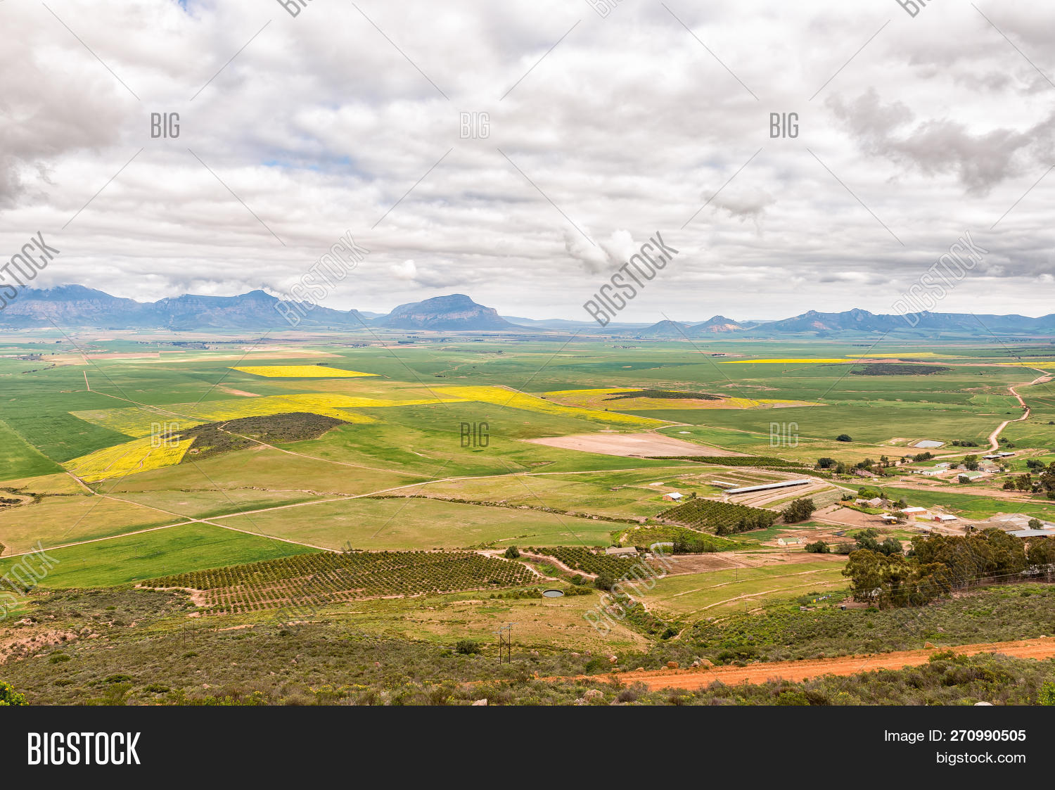 Citrusdal, South Image & Photo (Free Trial) | Bigstock