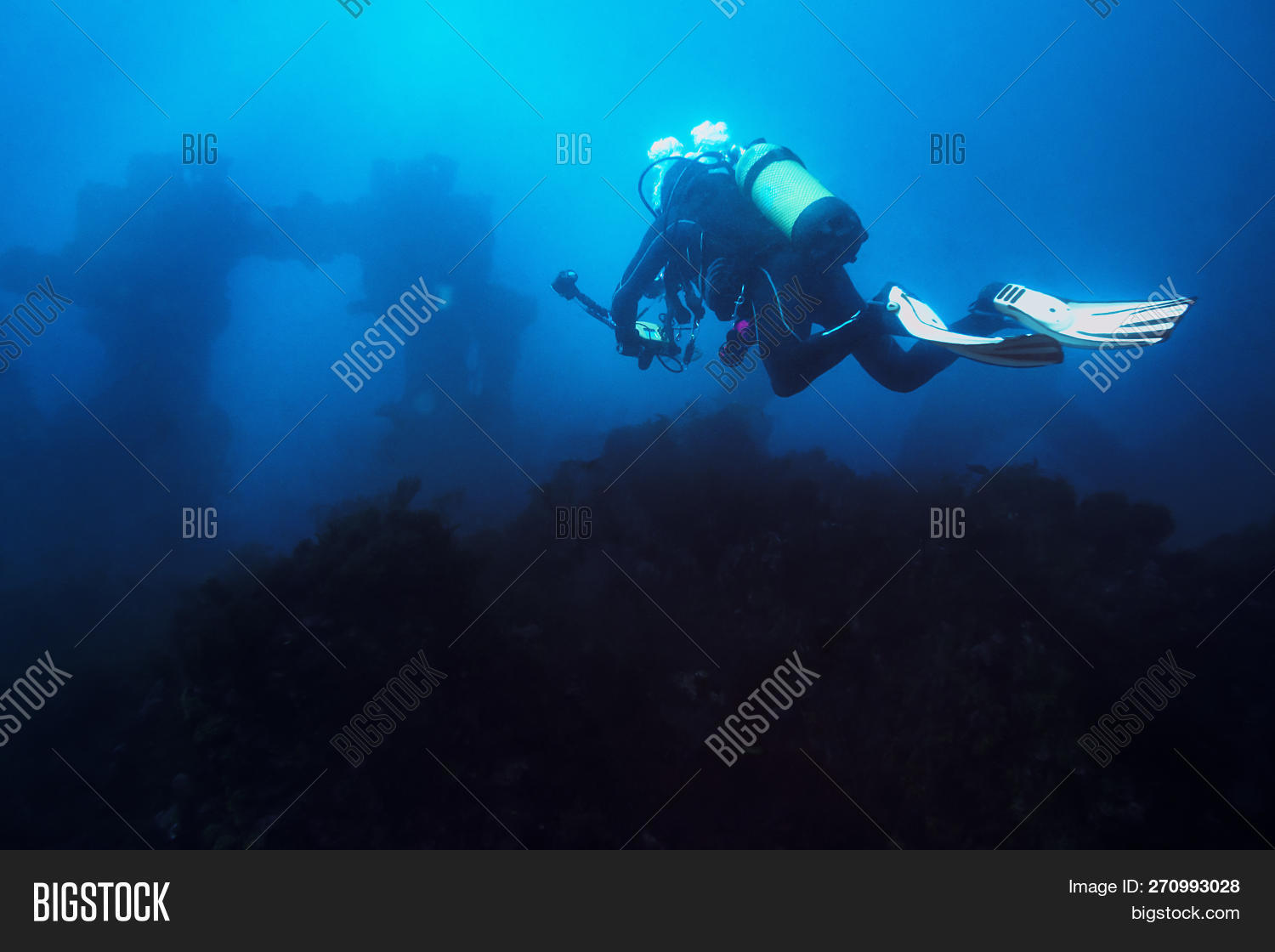 Diver His Camera Image & Photo (Free Trial) | Bigstock