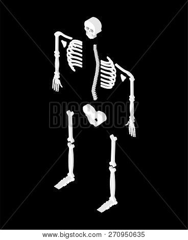 Skeleton Isometric Vector & Photo (Free Trial) | Bigstock