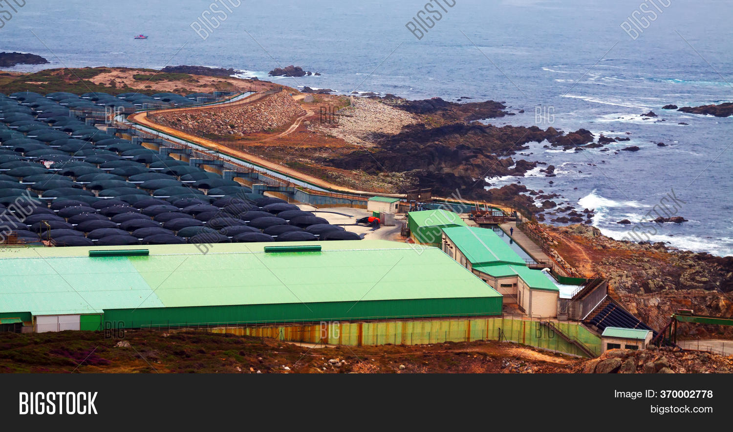 Sea Farm Seafood Image & Photo (Free Trial) | Bigstock