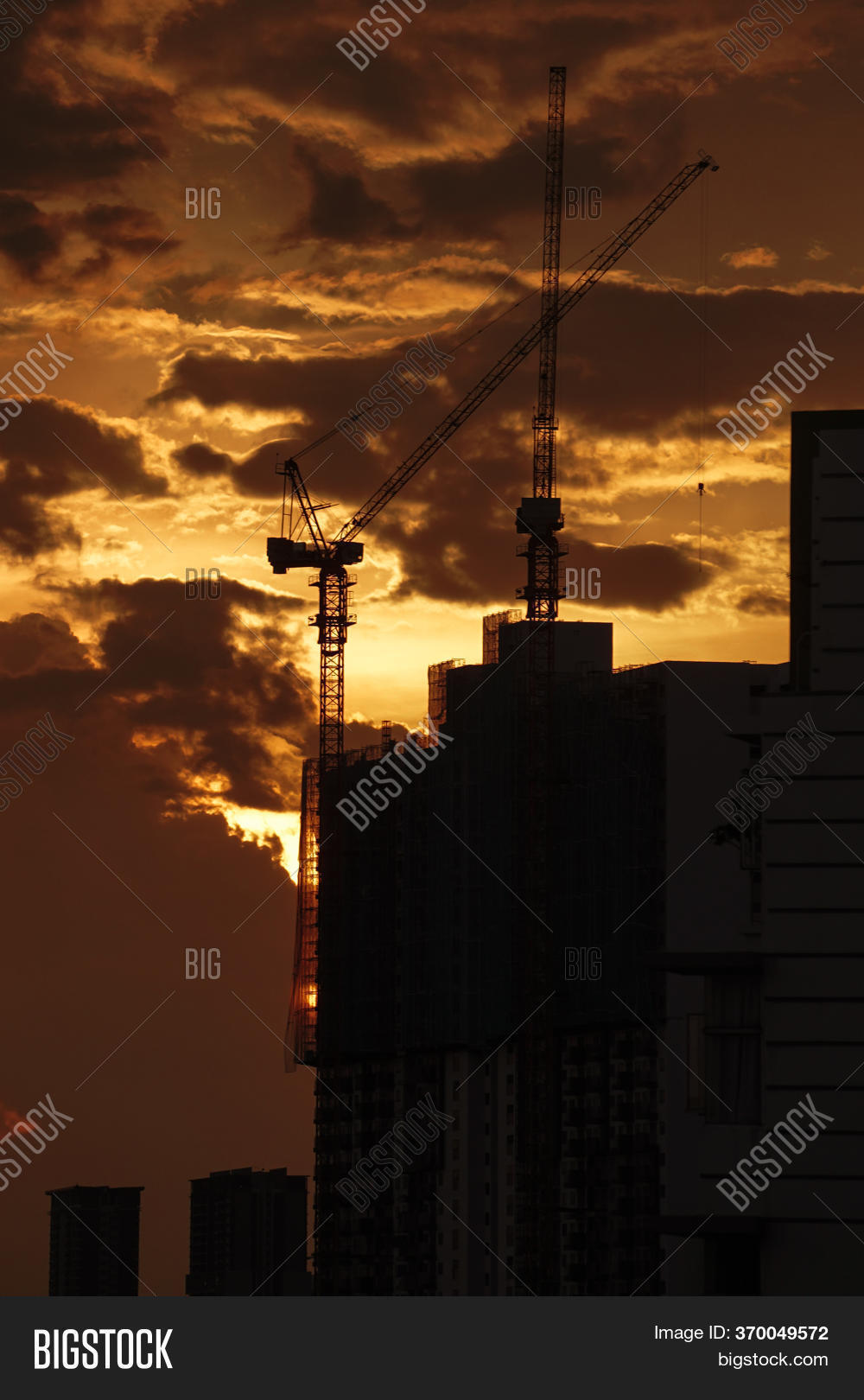 Beautiful Golden Color Image & Photo (Free Trial) | Bigstock