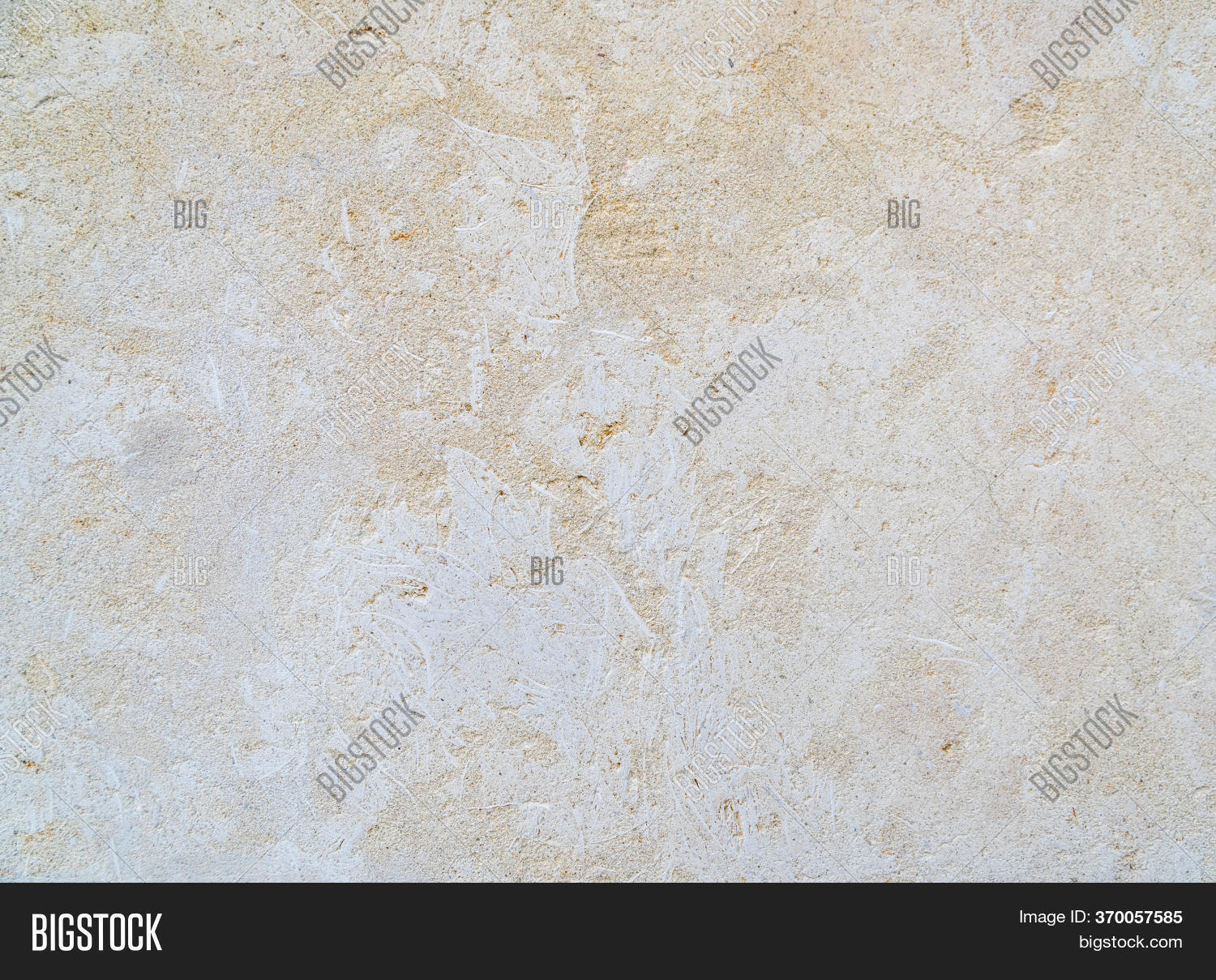 Decorative Beige Image & Photo (Free Trial) | Bigstock