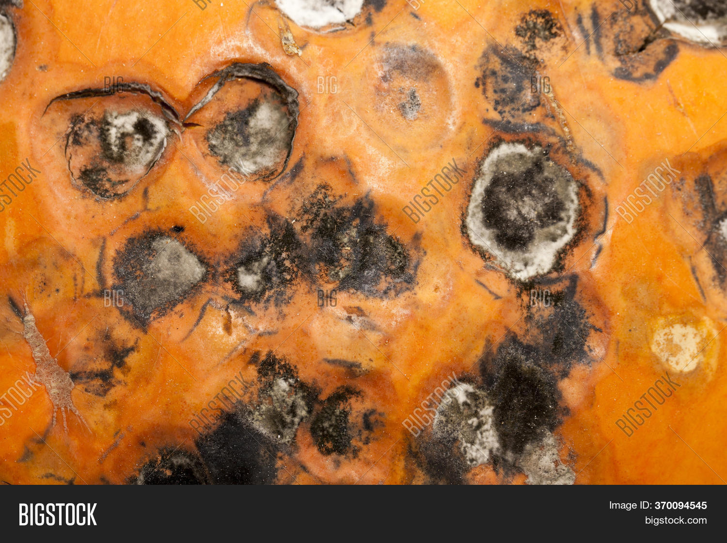 Rotting Surface Orange Image & Photo (Free Trial) | Bigstock