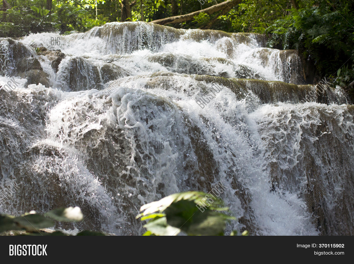 Waterfall Forest, Image & Photo (Free Trial) | Bigstock