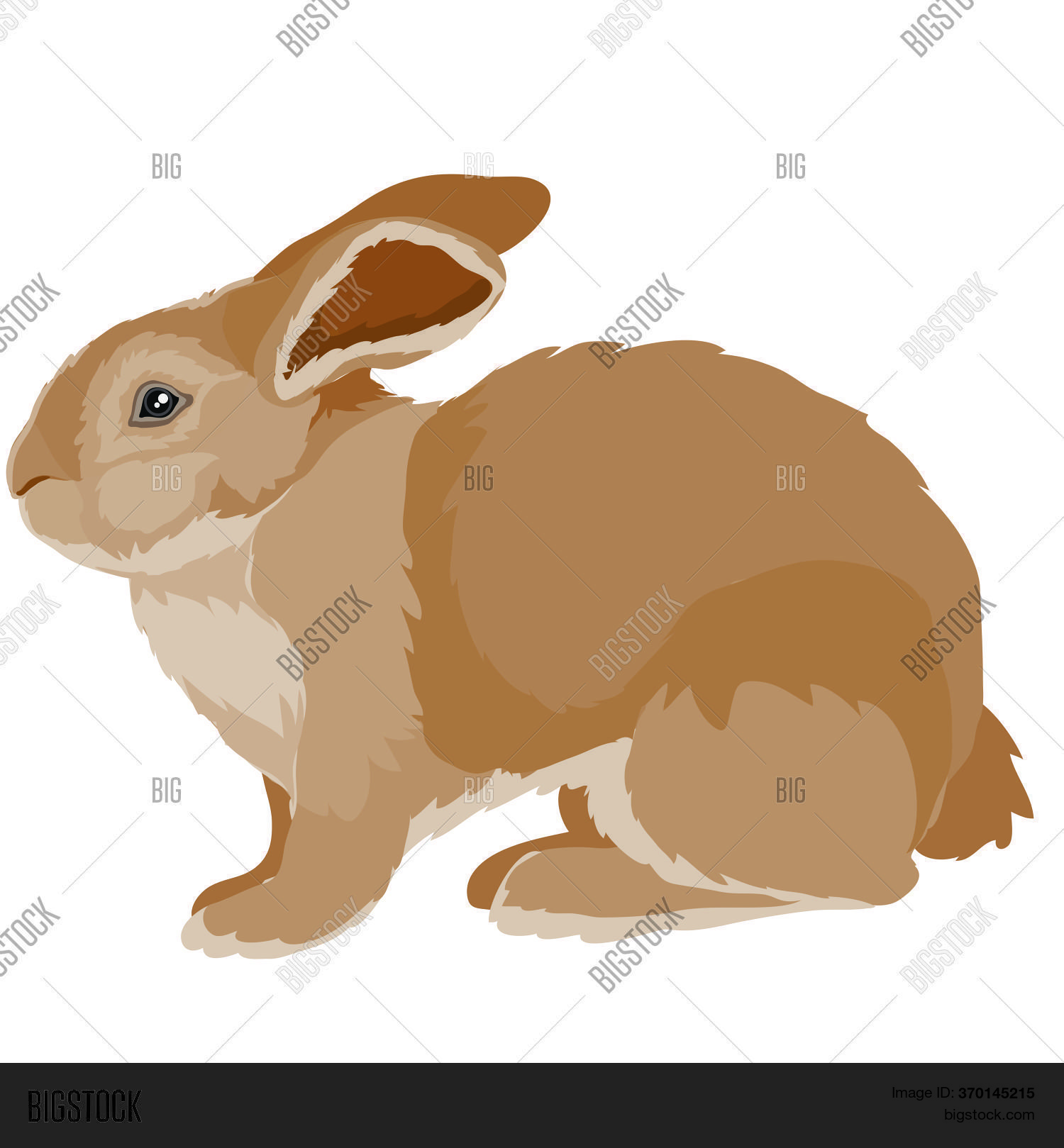 Natural Hare Beige Vector & Photo (Free Trial) | Bigstock