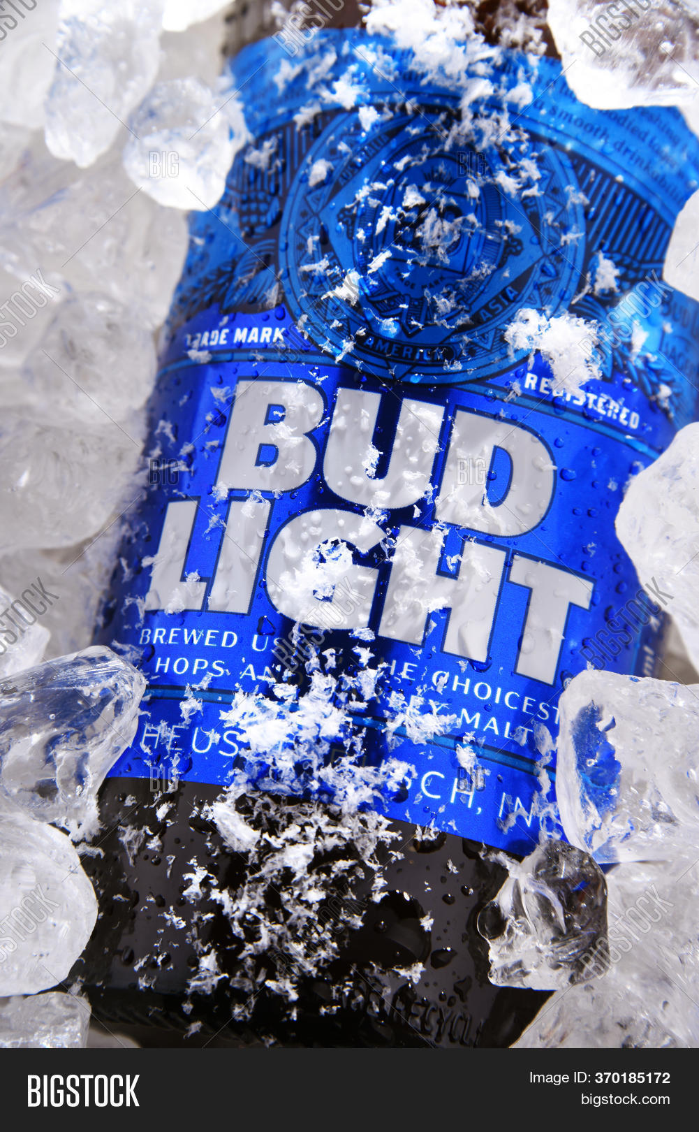 Bottle Bud Light Beer Image & Photo (Free Trial) | Bigstock