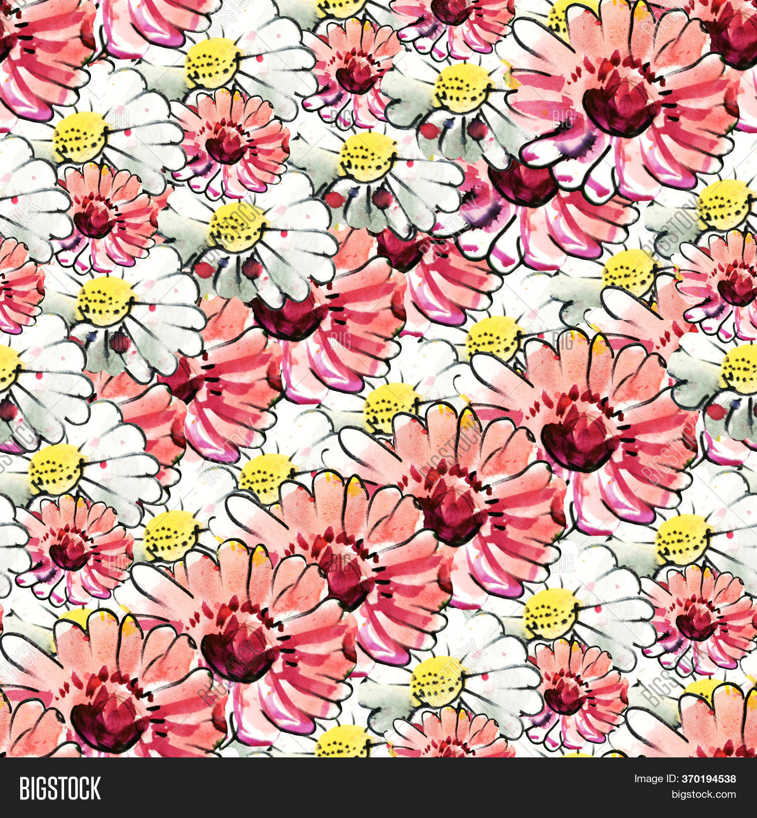 Bright Colored Daisies Image & Photo (Free Trial) | Bigstock