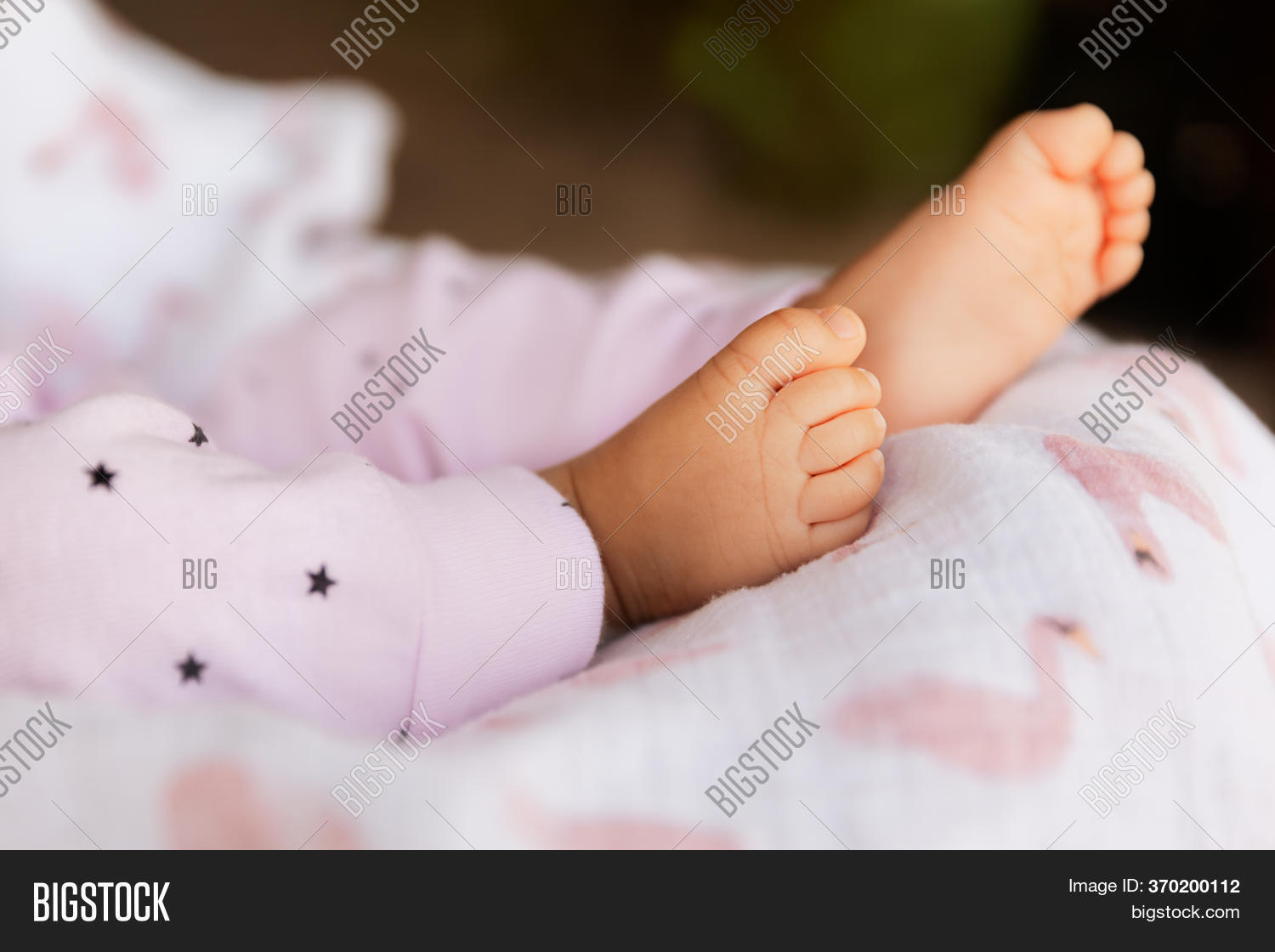 Baby Girl Legs, Cute Image & Photo (Free Trial) | Bigstock