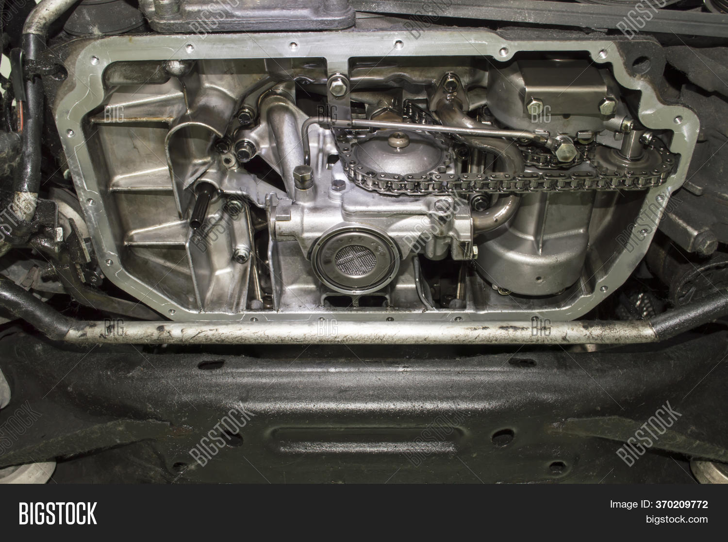 Bottom View Internal Image & Photo (Free Trial) | Bigstock