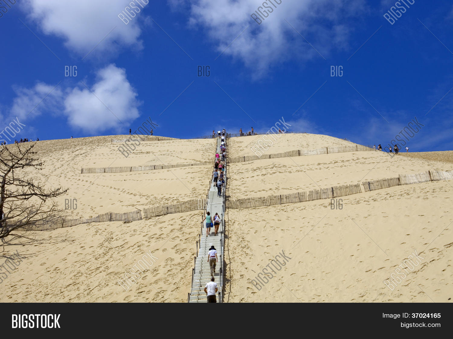 PYLA SUR MER, FRANCE Image & Photo (Free Trial) | Bigstock