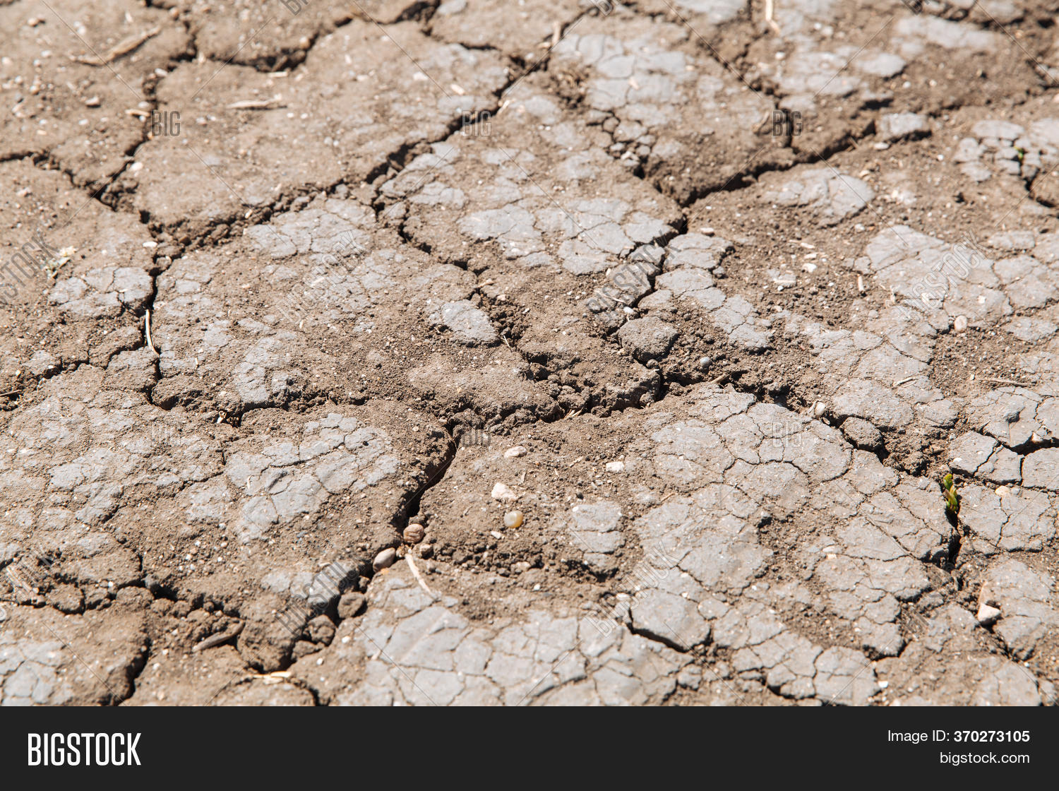 Dry Cracked Earth. Image & Photo (Free Trial) | Bigstock