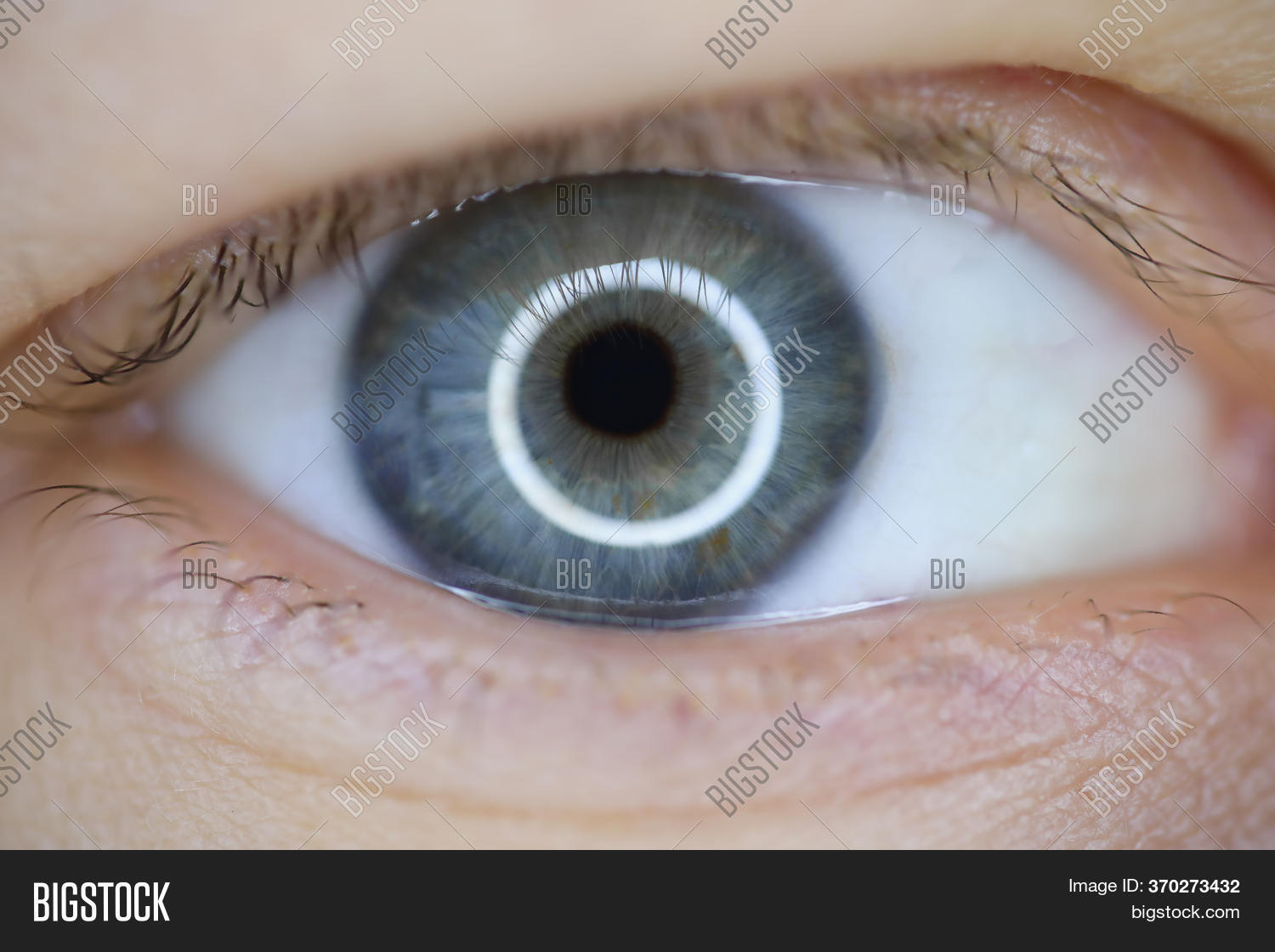 Blue Male, Human Eye Image & Photo (Free Trial) | Bigstock