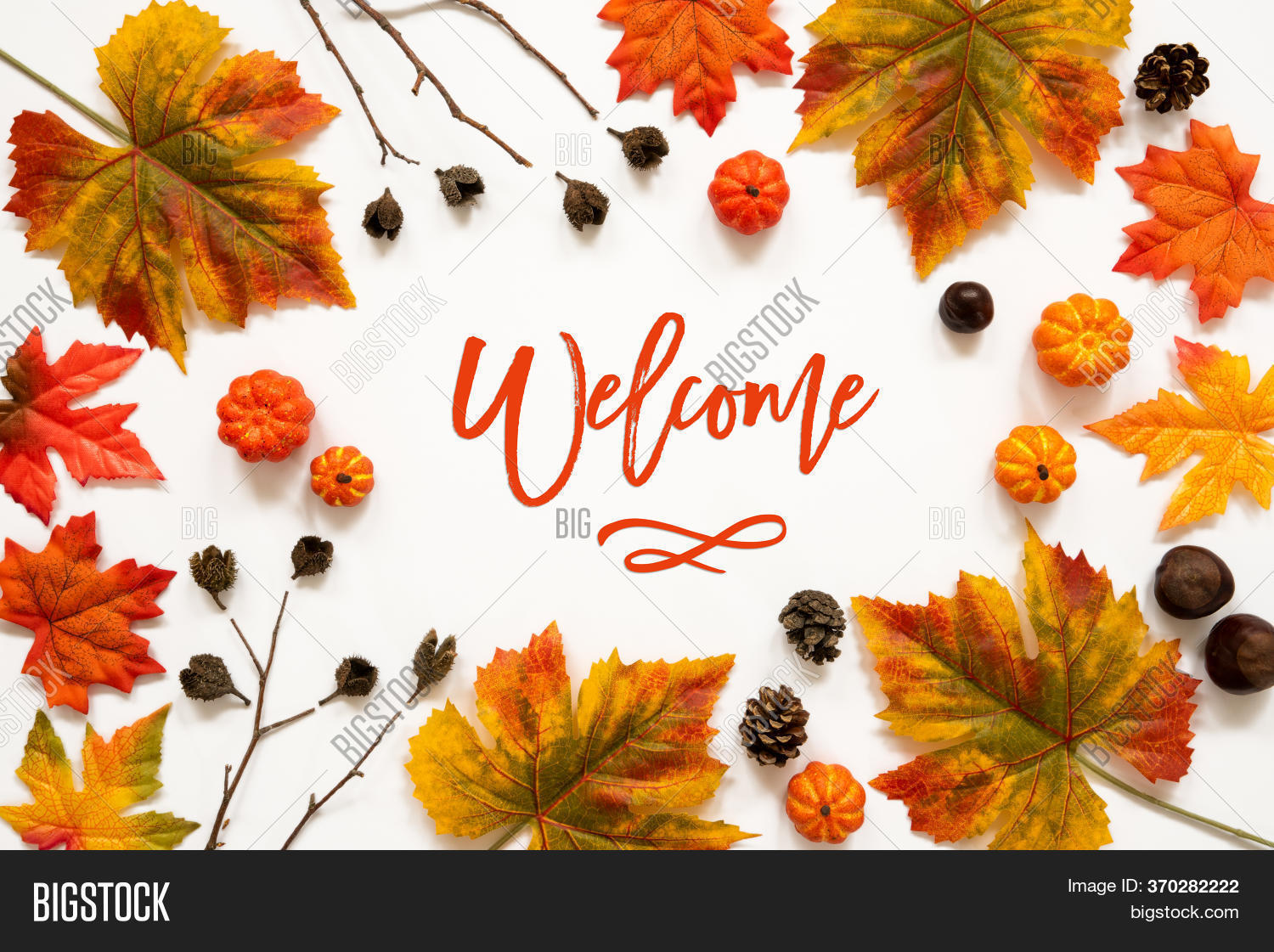 Bright Colorful Autumn Image & Photo (Free Trial) | Bigstock