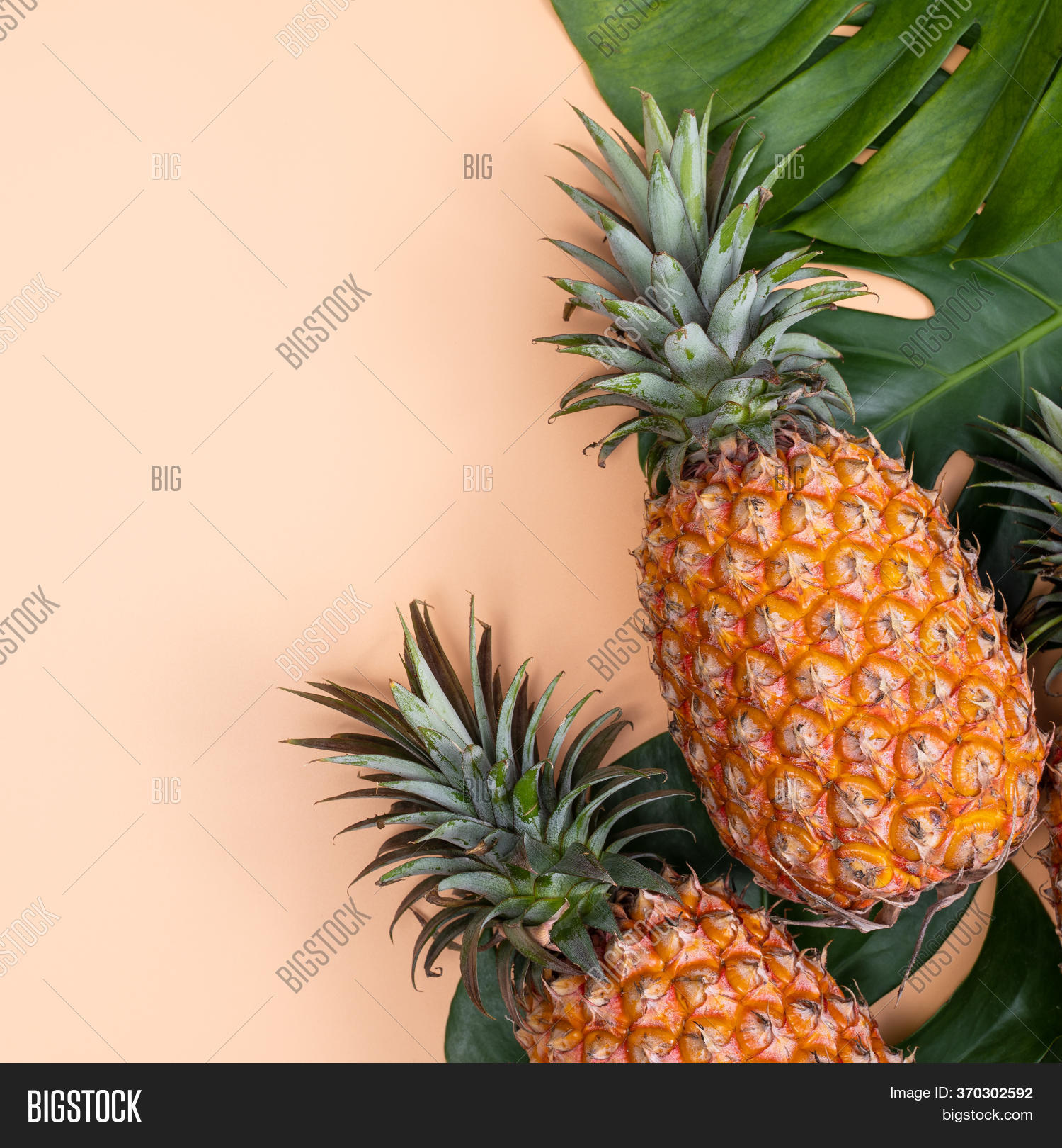 Beautiful Pineapple On Image & Photo (Free Trial) | Bigstock
