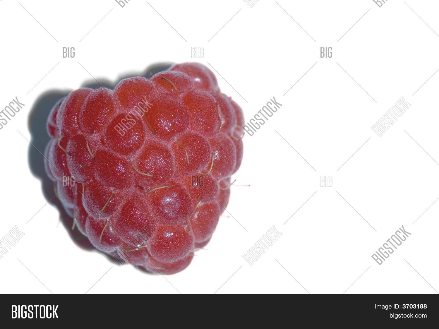 Raspberry Close On Image & Photo (Free Trial) | Bigstock