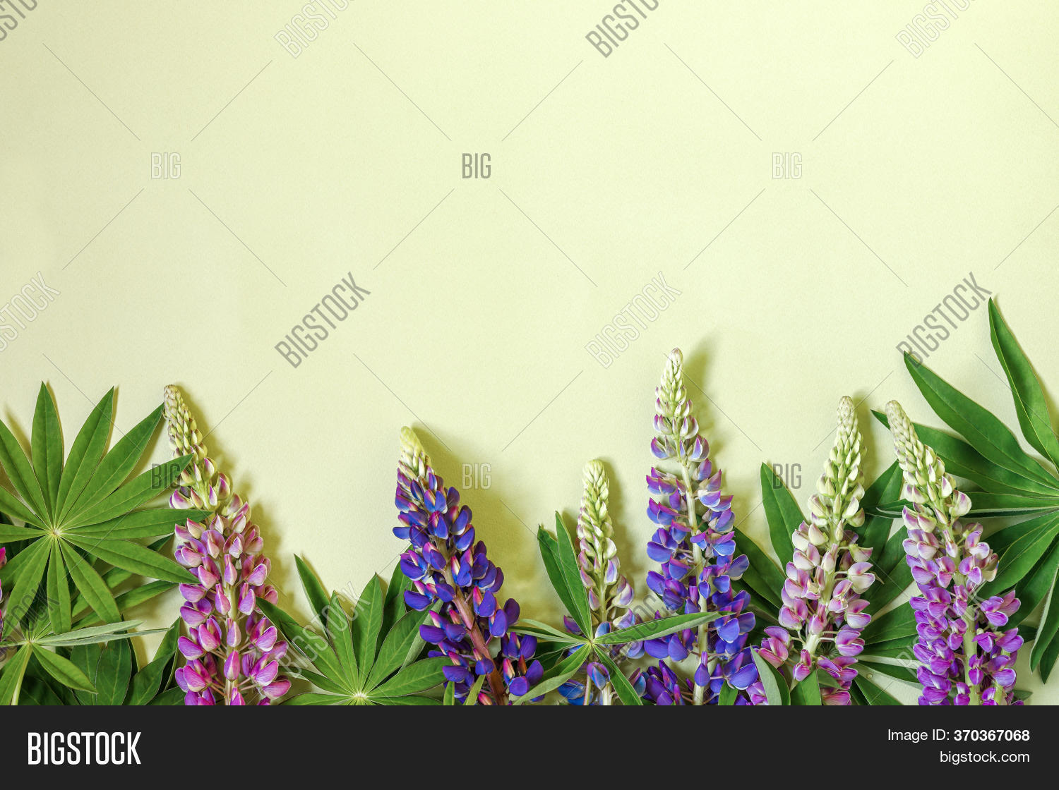 Spring Floral Flatlay Image & Photo (Free Trial) | Bigstock
