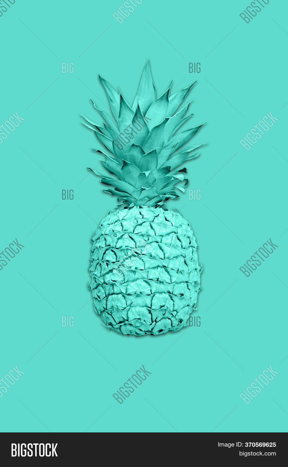 Collage Ananas Vibrant Image & Photo (Free Trial) | Bigstock