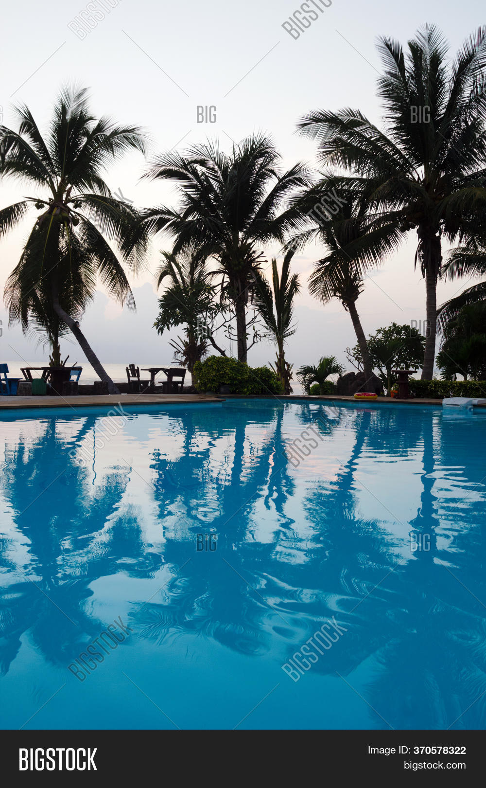 Empty Swimming Pool Image & Photo (Free Trial) | Bigstock