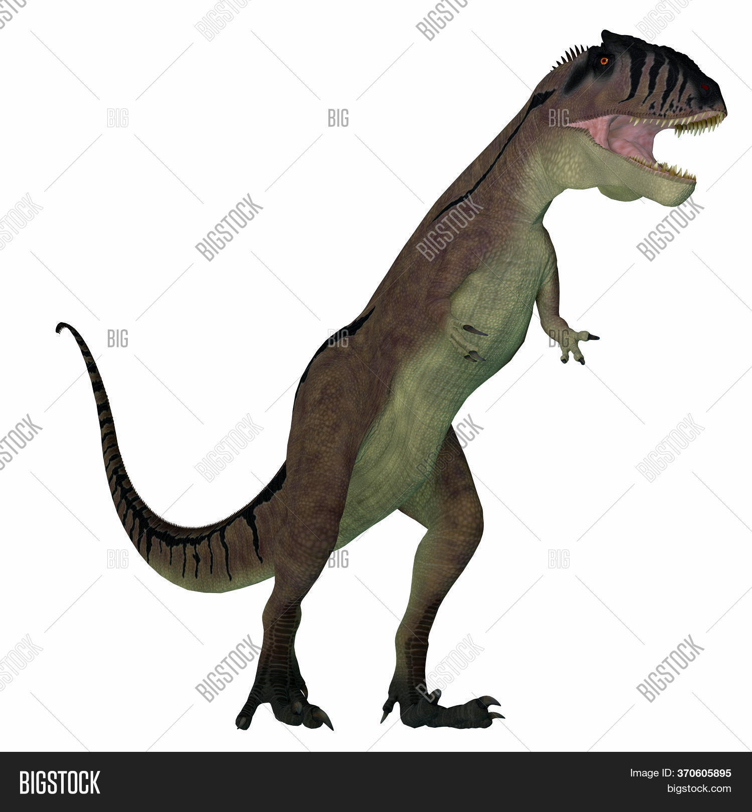 Carcharodontosaurus Image & Photo (Free Trial) | Bigstock