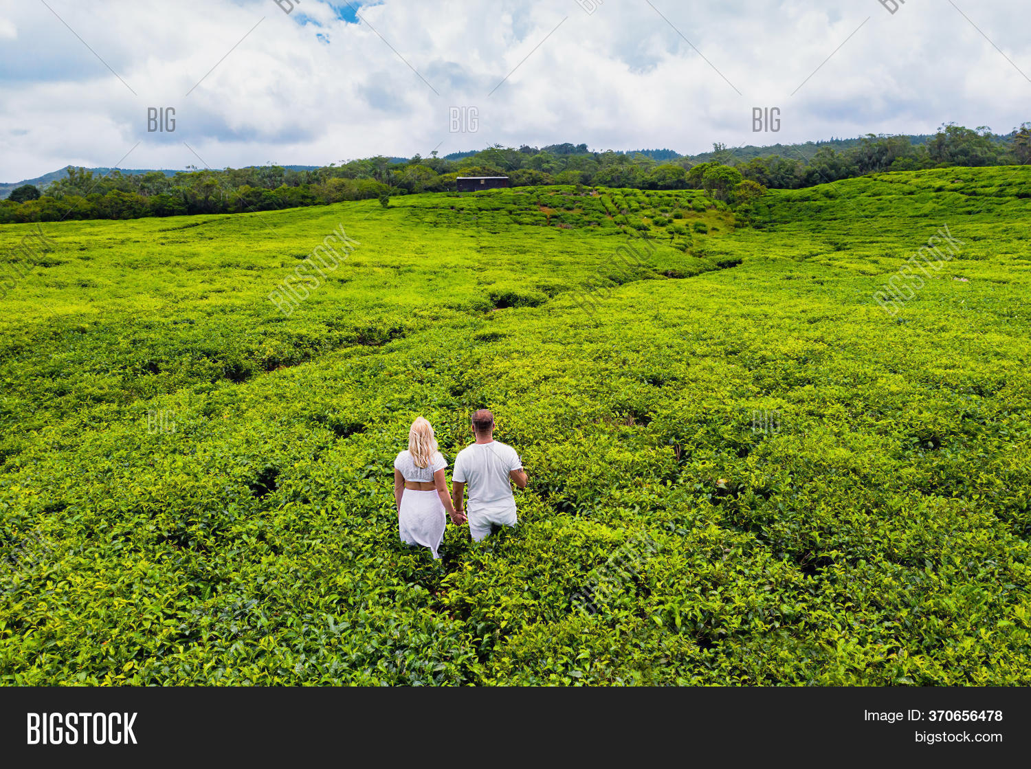 Top View Tea Image & Photo (Free Trial) | Bigstock