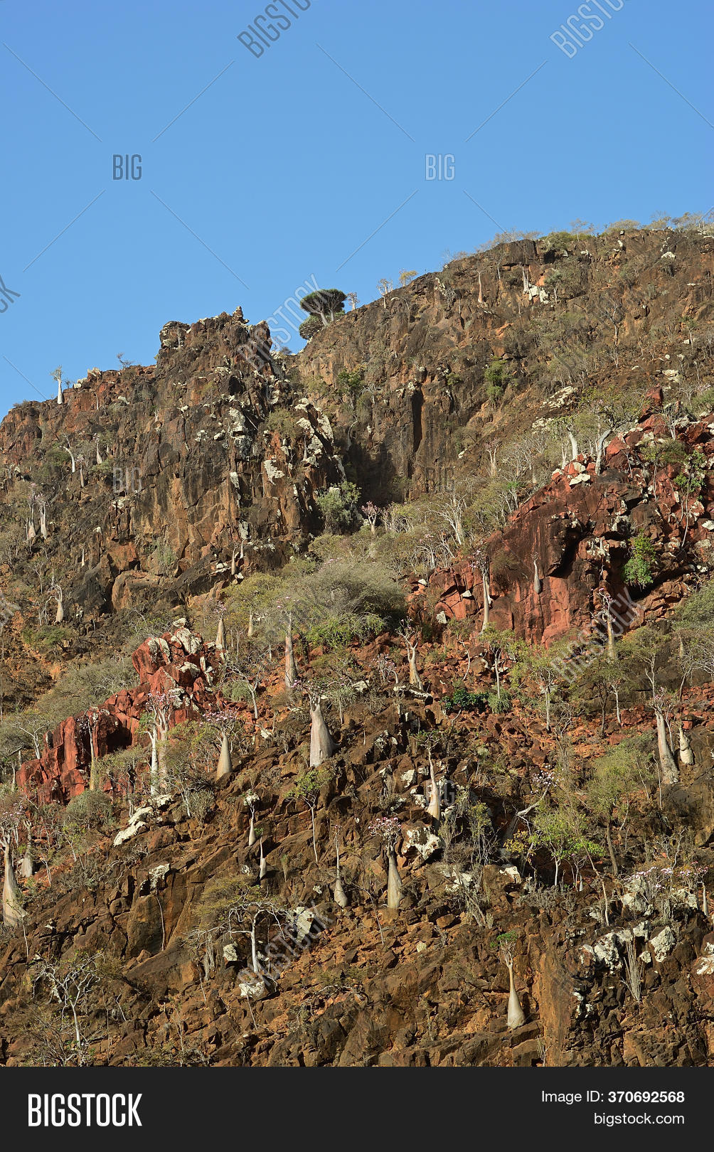 Yemen, Socotra Scenery Image & Photo (Free Trial) | Bigstock