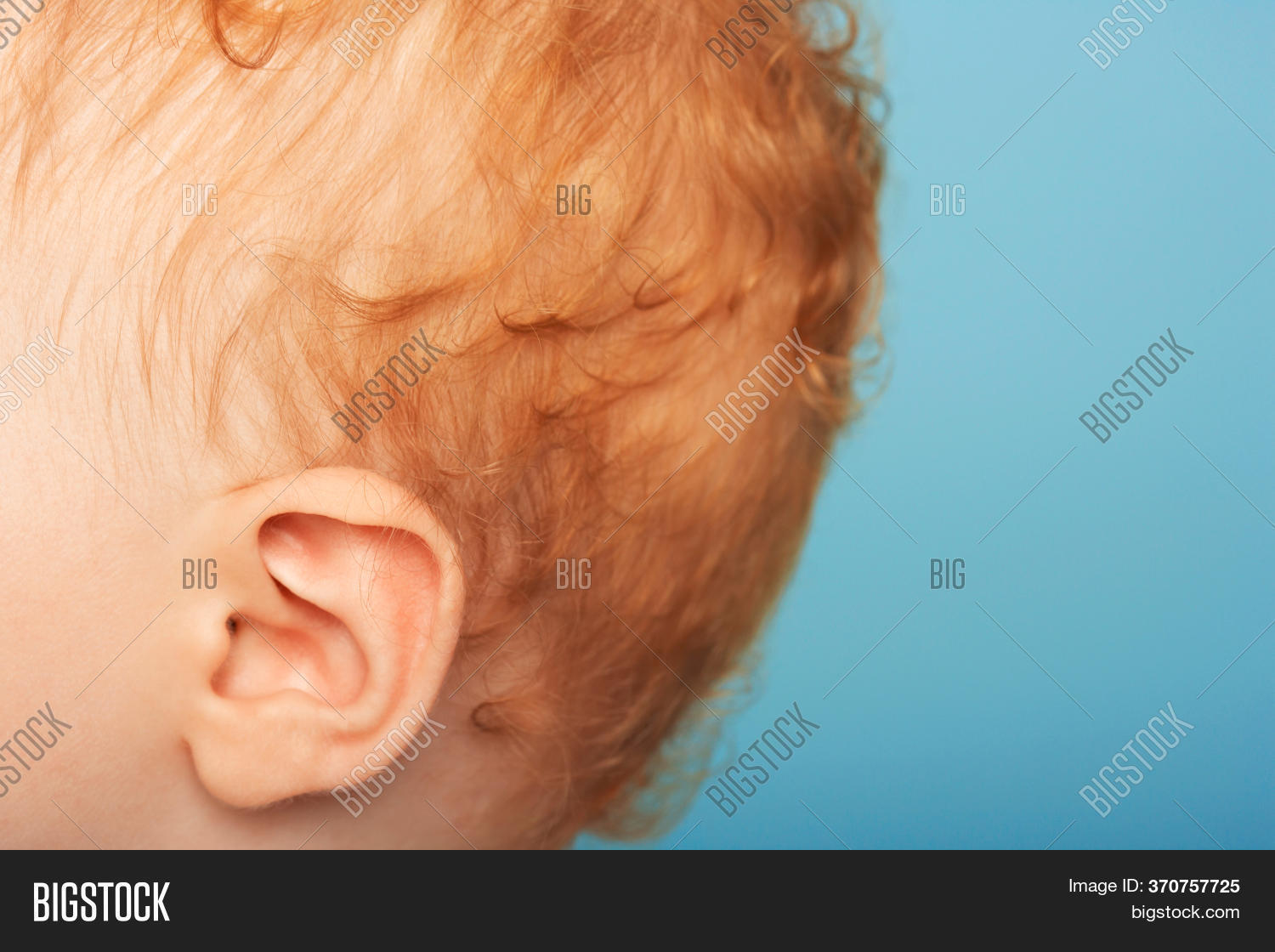 Portrait Red Headed Image & Photo (Free Trial) | Bigstock