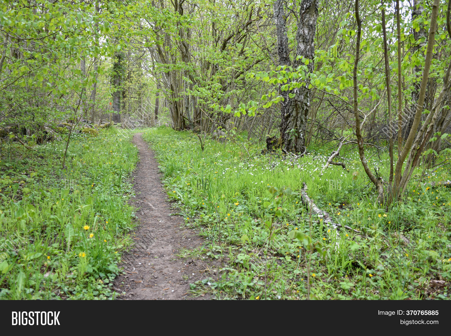 Narrow Footpath Image & Photo (Free Trial) | Bigstock