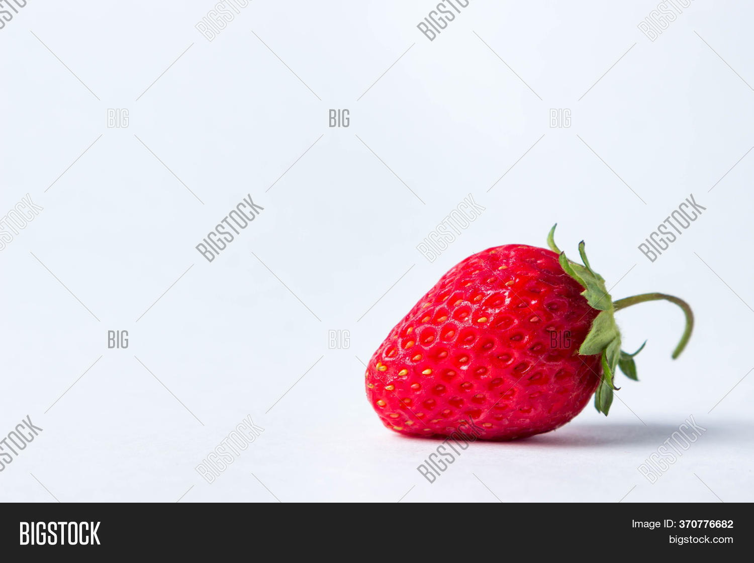 One Strawberry On Image & Photo (Free Trial) | Bigstock