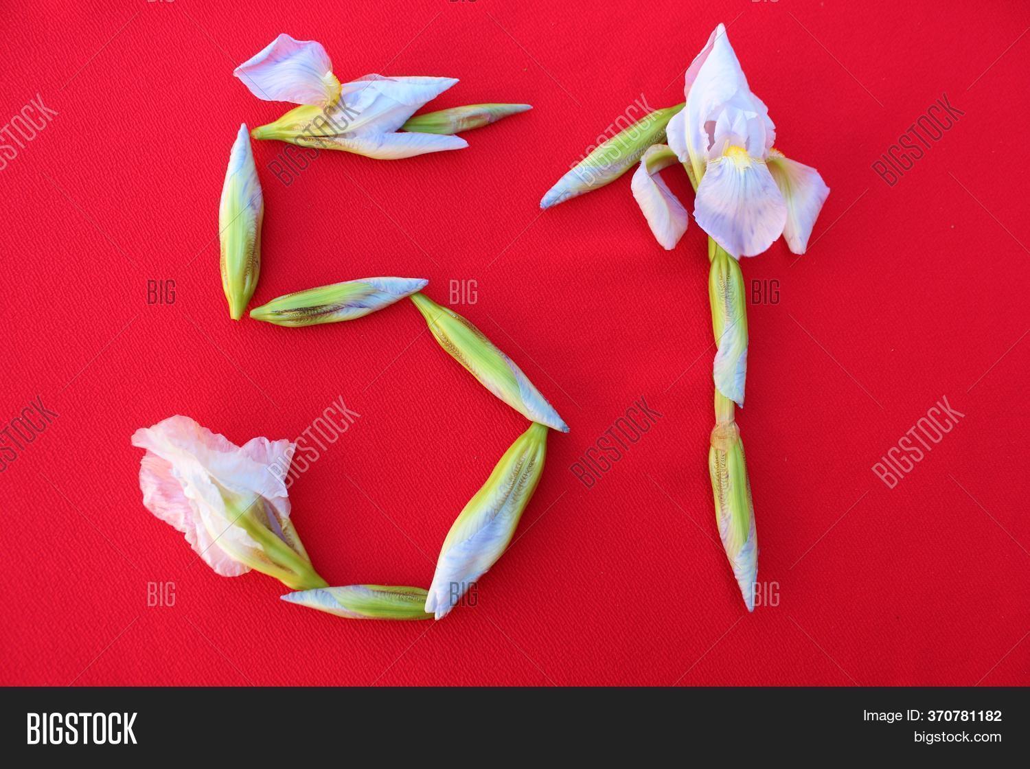 Number 51 Written By Image & Photo (Free Trial) | Bigstock