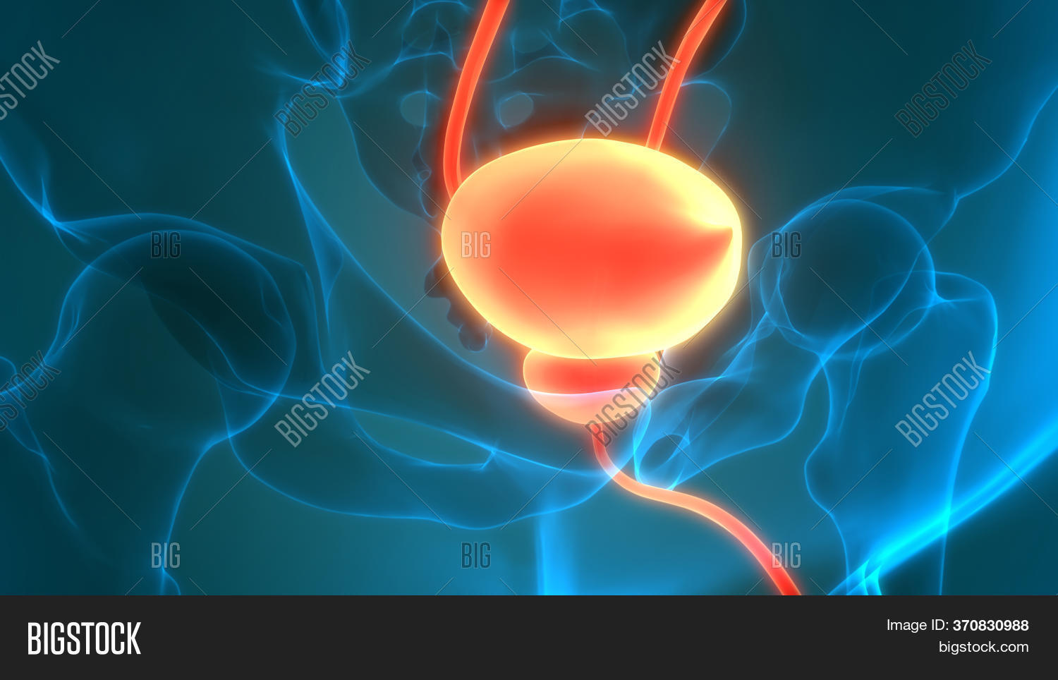 3d Illustration Image & Photo (Free Trial) | Bigstock