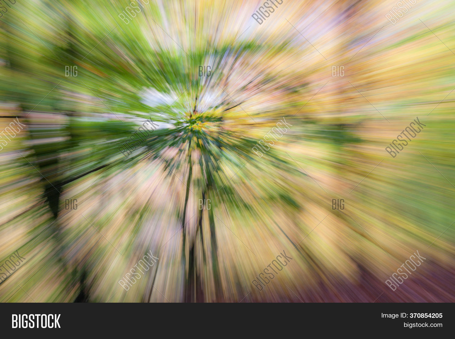 Abstract Photo, Forest Image & Photo (Free Trial) | Bigstock