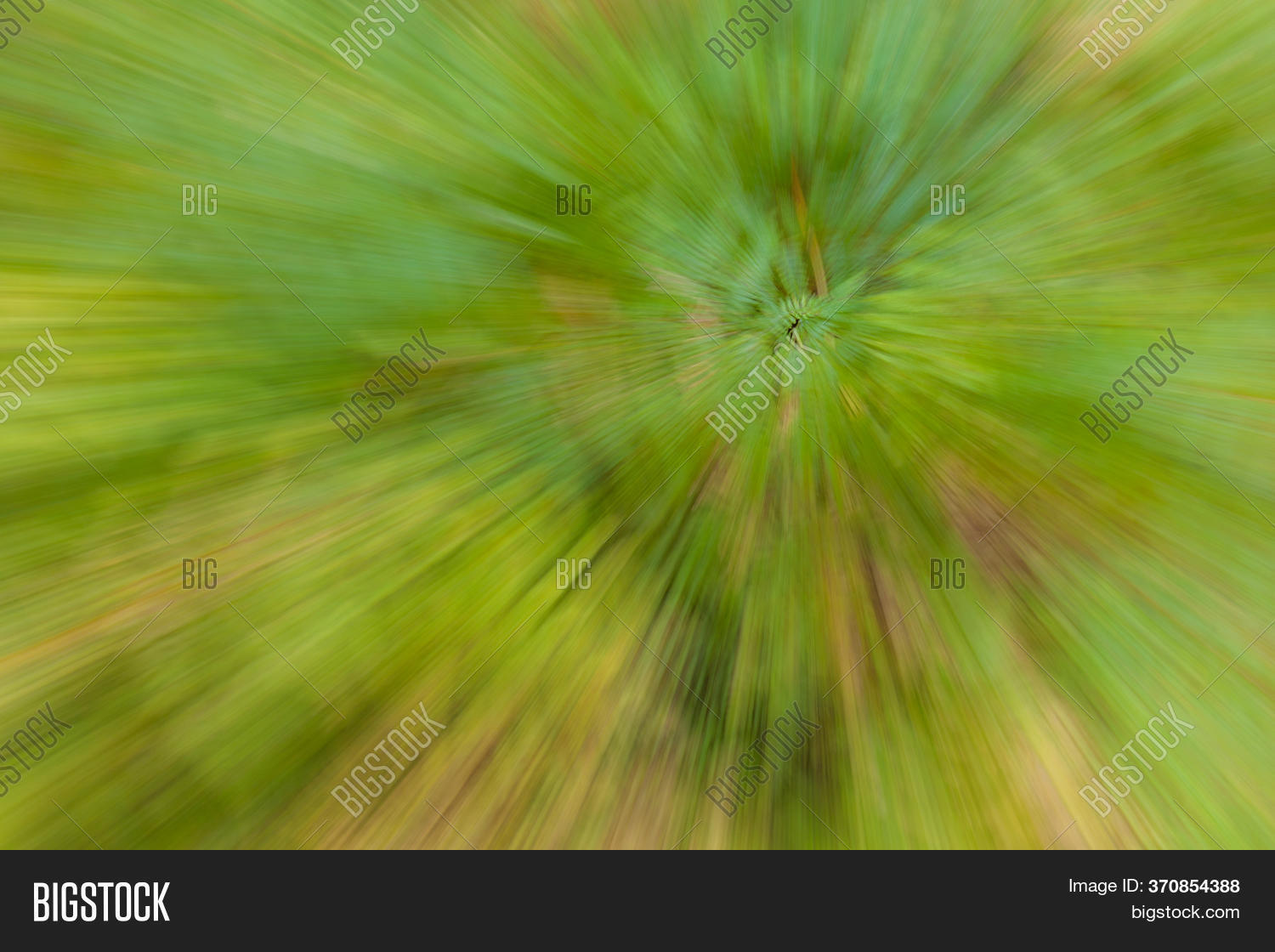 Abstract Photo, Fern Image & Photo (Free Trial) | Bigstock