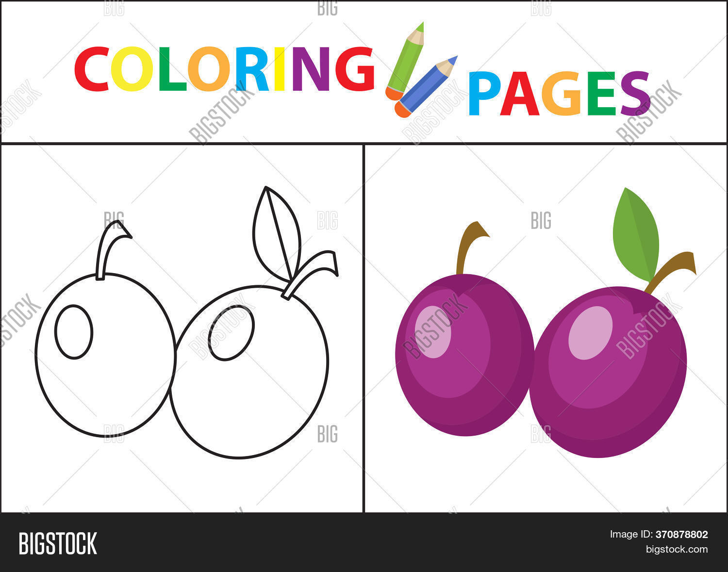 Coloring Book Page. Image & Photo (Free Trial) | Bigstock