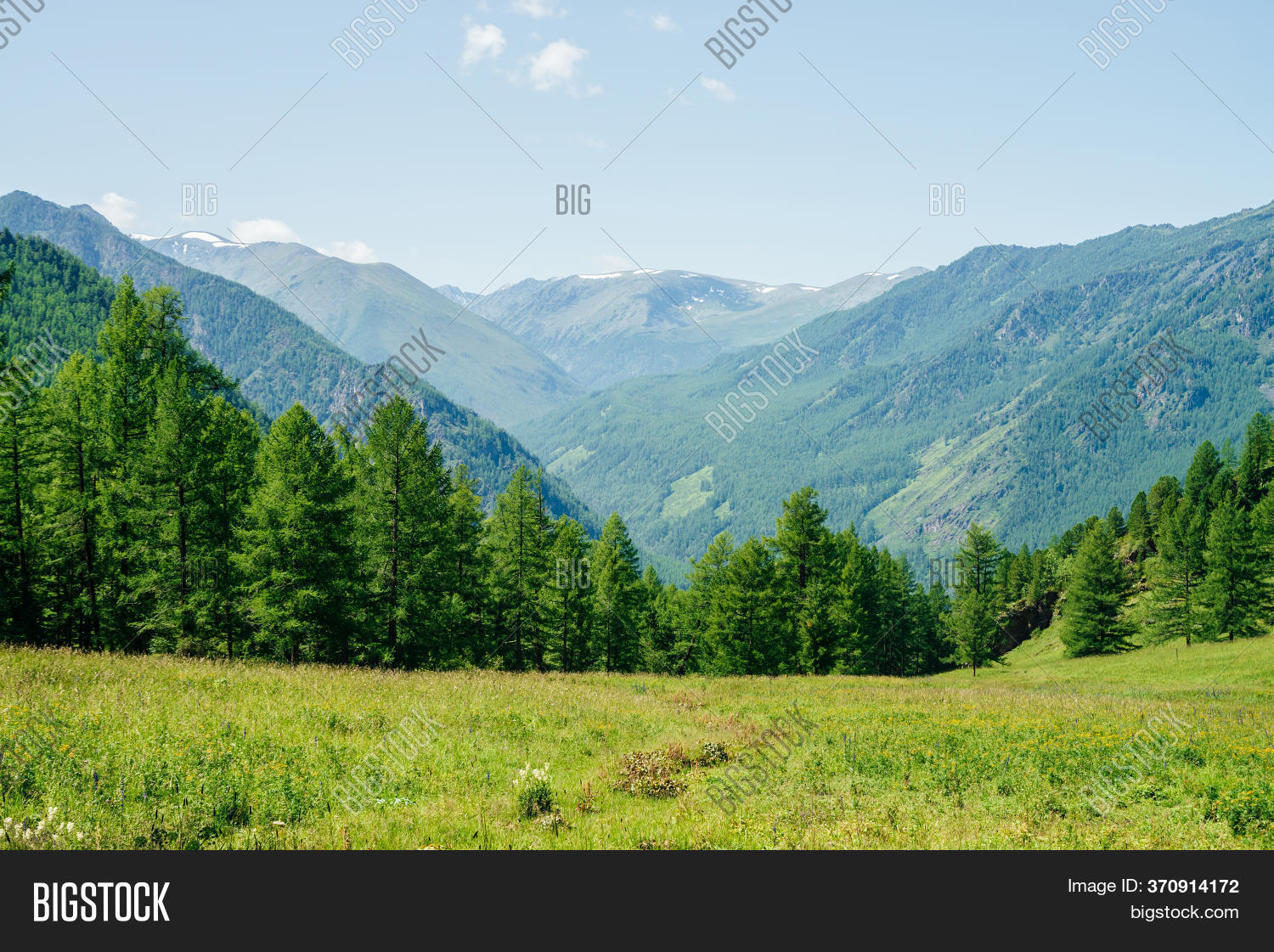 Beautiful View Green Image & Photo (Free Trial) | Bigstock