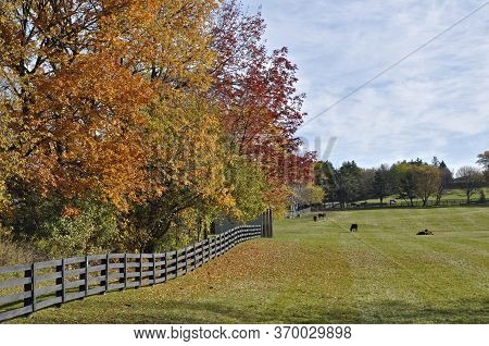 Ontario Canada Farm Landscape Images, Illustrations & Vectors (Free ...