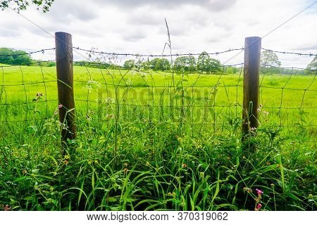 Wire Fence Hedge Image & Photo (Free Trial) | Bigstock