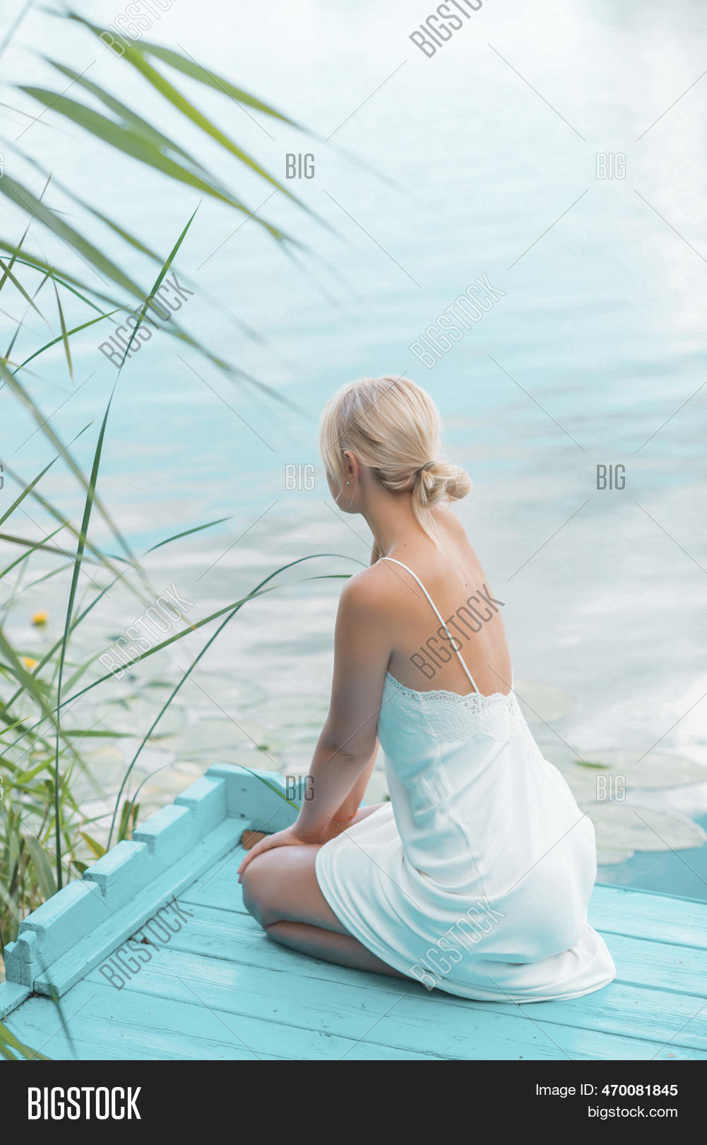 Tender Illustration Image & Photo (Free Trial) | Bigstock