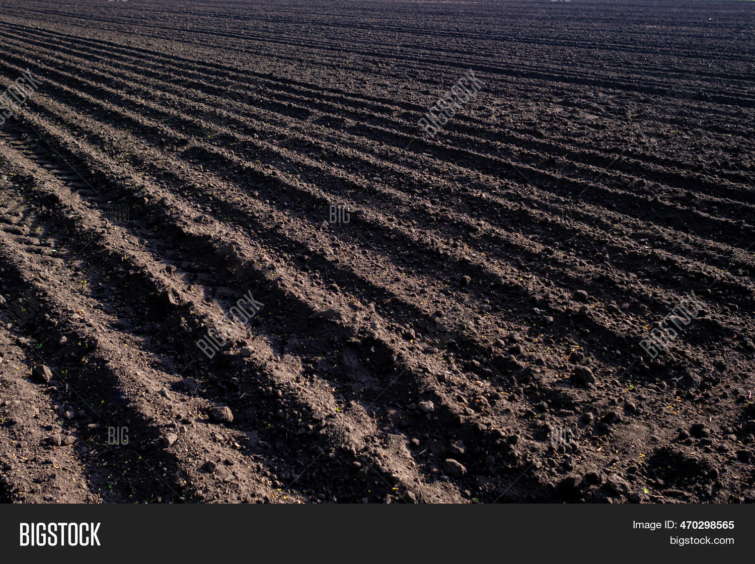 Arable Land. Furrows Image & Photo (Free Trial) | Bigstock