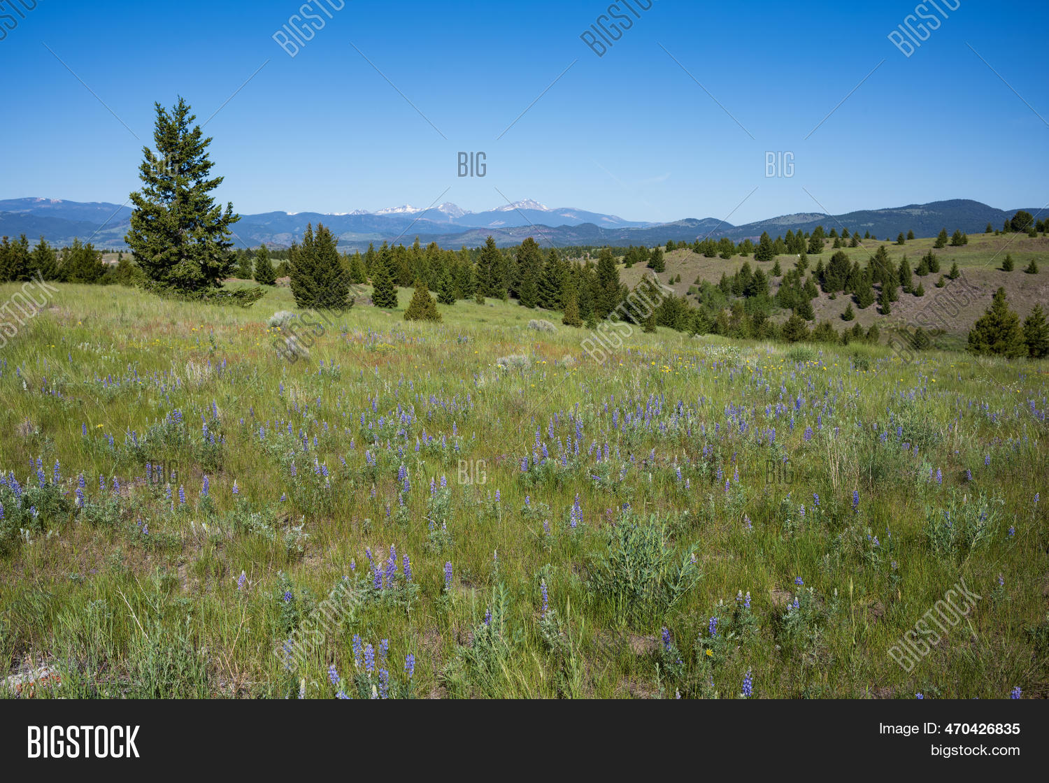 Landscape Big Butte Image & Photo (Free Trial) | Bigstock