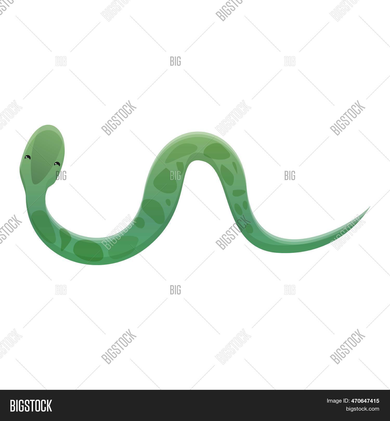 Top View Snake Icon. Image & Photo (Free Trial) | Bigstock
