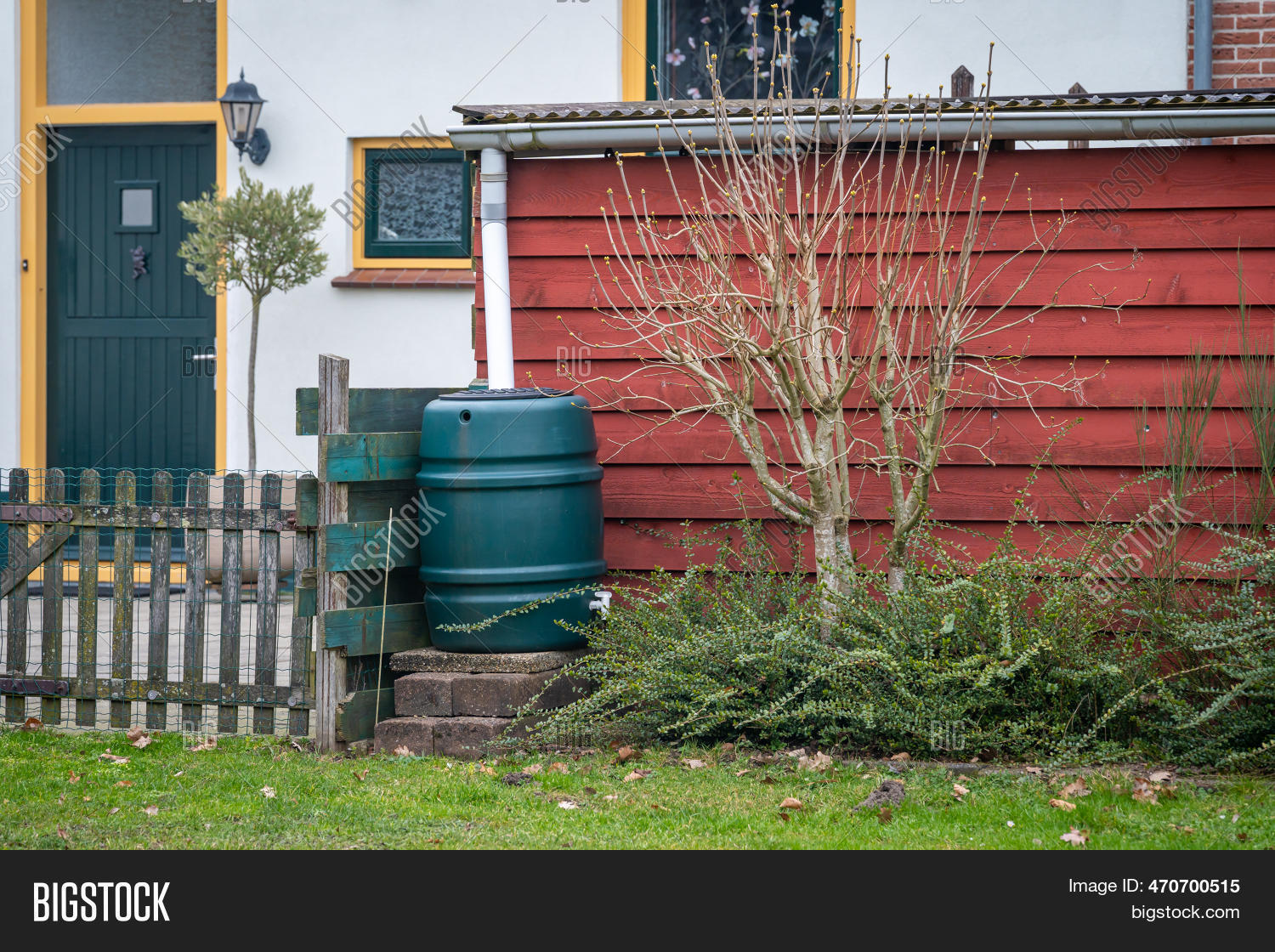 Green Rain Barrel Image & Photo (Free Trial) | Bigstock